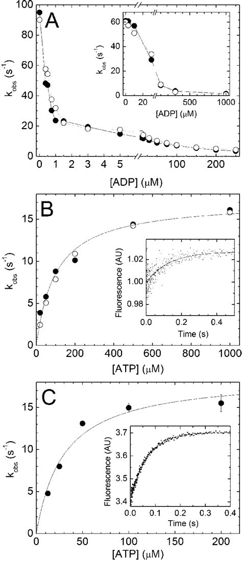 Adp Kinetics Of Acto Mx S1 A Observed Rate Constants K Obs Of Download Scientific Diagram