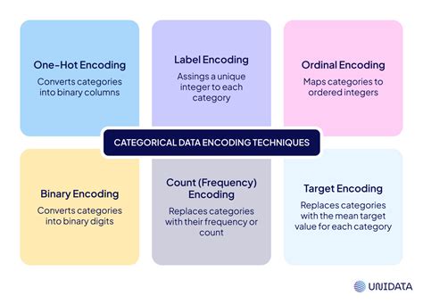 Categorical Data In Machine Learning A Comprehensive Guide Unidatapro