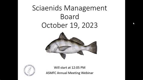 Sciaenids Board Proceedings October 2023 Youtube