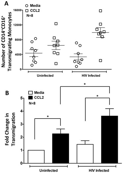Hiv Infection Significantly Increases Monocyte Transmigration Across