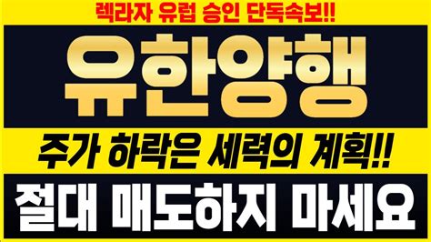 유한양행 주가전망 단독속보 주가 하락은 세력의 개미털기 작전 절대 매도하지 마세요 다음주 엄청난 상승 시작됩니다 유한양행 Youtube