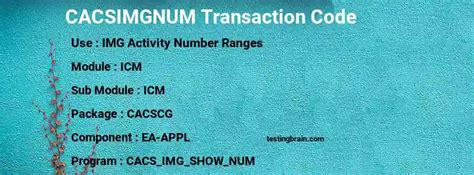 CACSIMGNUM SAP Tcode For IMG Activity Number Ranges
