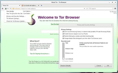 Tor Browser Ya Dispone De Manual Oficial La Mirada Del Replicante