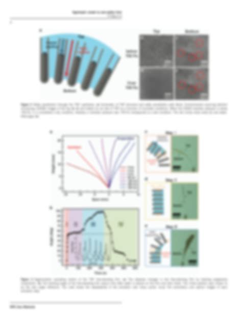 Solution Hygromorphic Actuator From A Metal Oxide Film Driven By A Nano Capillary Forest
