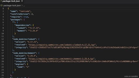 【node js】第五章 包与npm包 iesnpm csdn博客