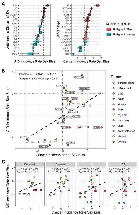 Cancers Free Full Text Sex Biases In Cancer And Autoimmune Disease