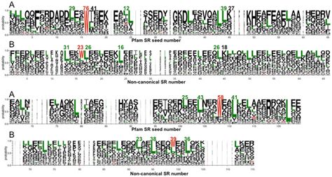 Consensus Sequence For The Pfam Sr Seed A And Non Canonical Nesprins Download Scientific