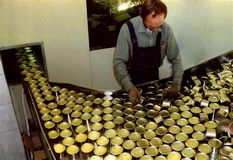 Рыбозавод Большекаменский — производитель рыбной продукции и консервов ...