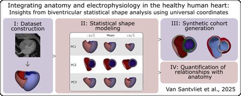 Cardiacdigitaltwin Anatomy Electrophysiology Scientificresearch Collaboration