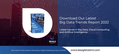 Big Data Trends Report Beagle Talent