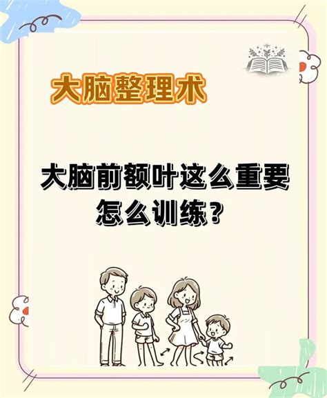 🧠前额叶皮层：大脑的决策与情感中心