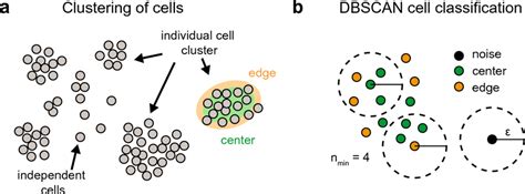 Clustering Of Cell Populations A Schematic Of Cell Clustering With Download Scientific