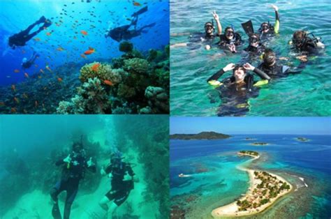 Uth Universidad Tecnológica De Honduras