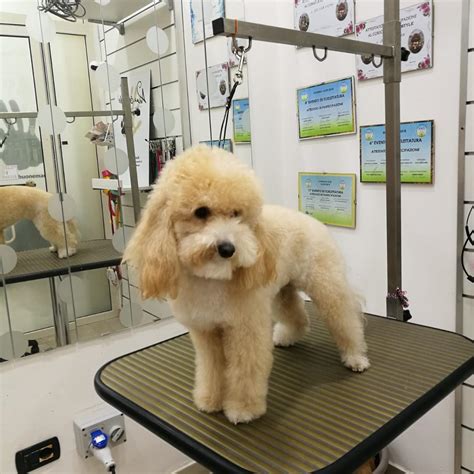 Anima And Code Anima And Code Added A New Photo