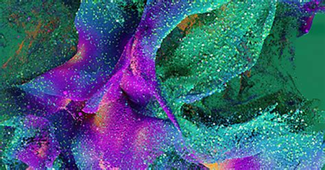 Learn How To Simplify Splunk Management By Reducing Storage Complexity