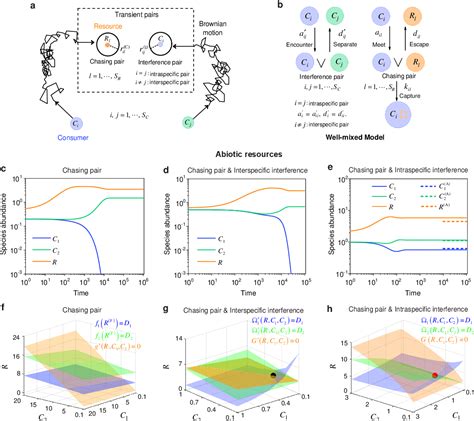 Figure 1 From Intraspecific Predator Interference Promotes Biodiversity