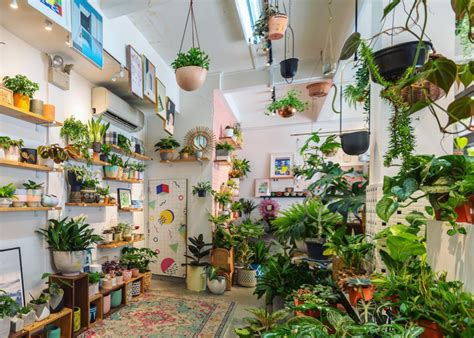Best Indoor Plant For Nursery At Jessie Ramirez Blog