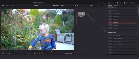 How To Blur In Davinci Resolve Using Masking Tools