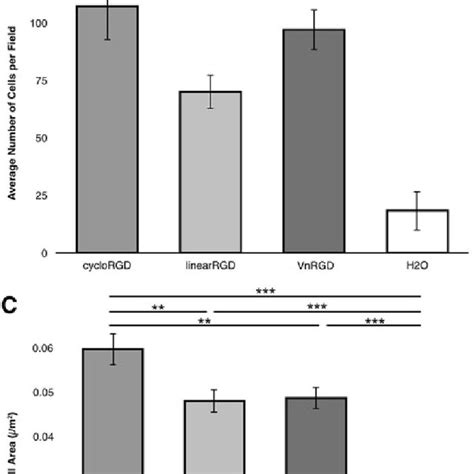Asc Adhesion And Spreading On Rgd Peptides A Sequence Of Peptides Download Scientific