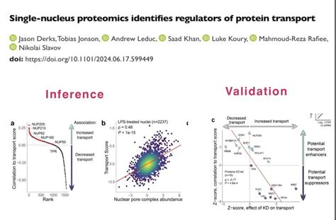 Single Cell Sub Cellular Proteomics May Identify Protein Regulators
