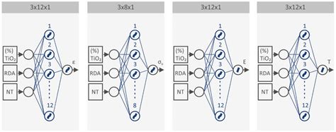 The Topology Of The Developed Anns Download Scientific Diagram
