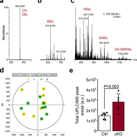 Reverse Phase Liquid Chromatography High Resolution Time Of Flight Download Scientific Diagram