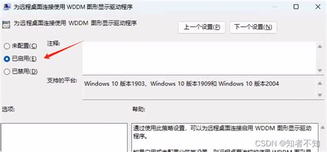 windows远程桌面rdp mstsc 性能优化用显卡异地玩游戏 rdp 显卡 csdn博客