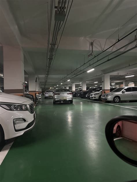 아 택시 개 미친 자동차 에펨코리아