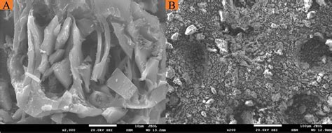 Sem Image Of A Biochar Prepared From Rice Straw Taken At 10 μm Ahmed Download Scientific