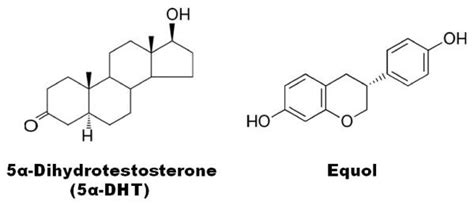 Biochemical Structures Of Dihydrotestosterone And Equol Download Scientific Diagram