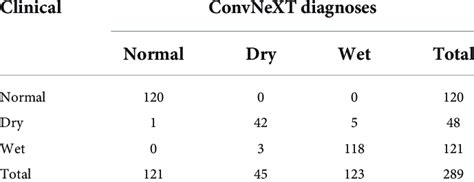 Diagnostic Results Of The Convnext Model On The Expanded Dataset