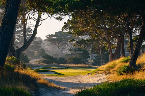 골프 코스 모래 구덩이와 나무