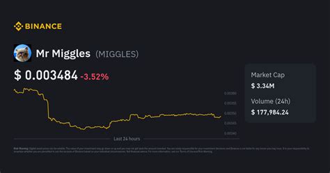 Mr Miggles Price Today Miggles To Usd Live Price Market Cap And Chart