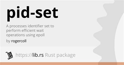 Pidset — Rust Utility Lib Rs