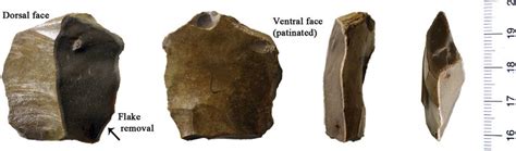 Cof Ff Single Dorsal Removal From A Fully Patinated Flake The