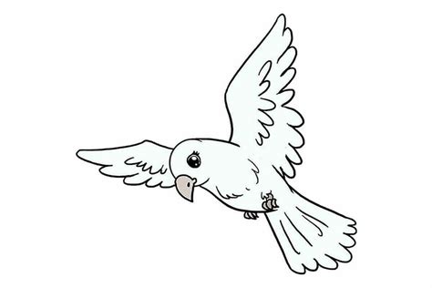 نقاشی پرنده کودکانه ساده با آموزش ویدئویی