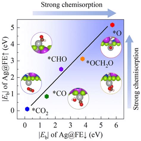 Ferroelectric Polarization And Single Atom Catalyst Synergistically