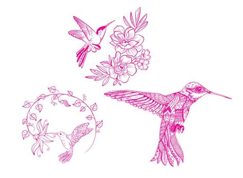 Laser Engraving Kolibri Hummingbird Cdr Corel Draw File Dxf Downloads Files For Laser