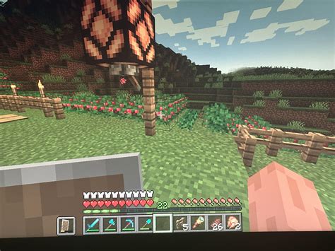 Help Please Minecraft Bug Happening R Minecraft
