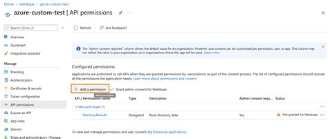 Step 13 Configure A Microsoft Entra Id Application For Csa Netskope Knowledge Portal