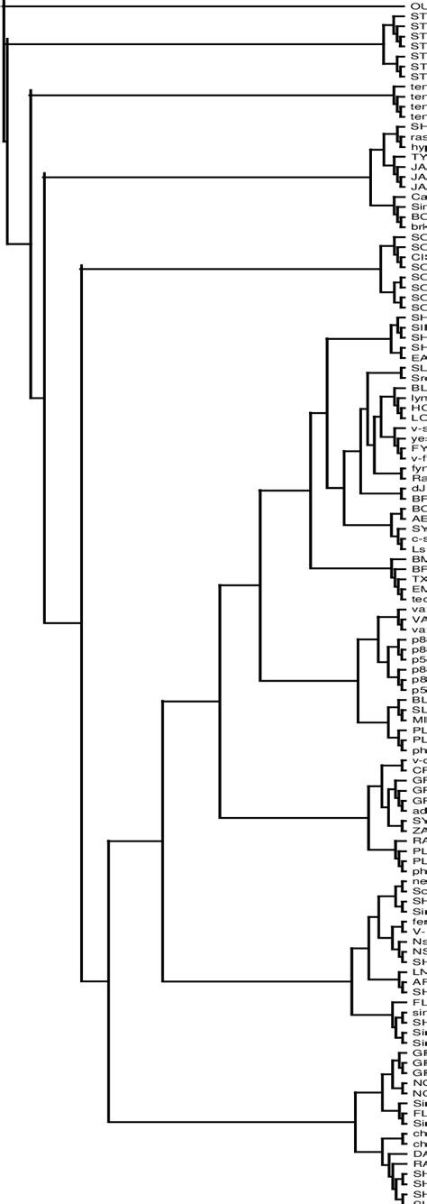 The Homologous Tree Of All Sh2 Domains In The Non Redundant Database Download Scientific Diagram