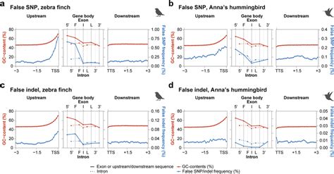 Biased Distribution Of Sequencing Errors Near Gc Rich 5′ Proximal