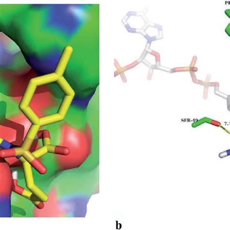 Probable Binding Mode Of The Most Active Compound Ds2 In The Dhfr