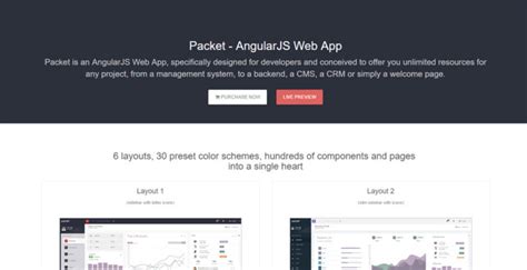 Packet Angularjs Web App Css Nectar Css Gallery