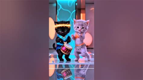Cute Funny Cat Dum Dum Dance Cat Cute Funny Catvideos Youtube