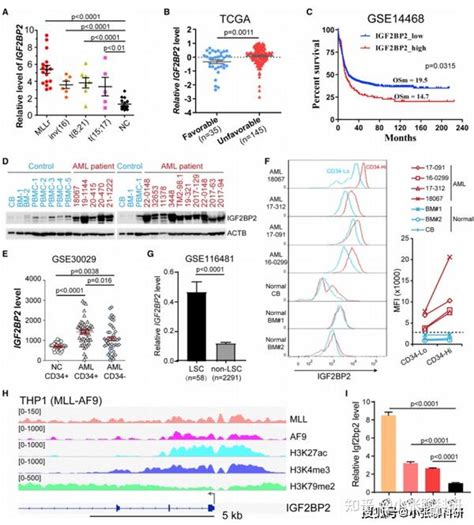 【文献详解】肿瘤治疗新思路：靶向m6a机制 知乎