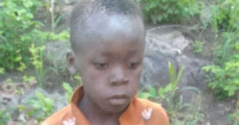 Un Niño De 8 Años Sobrevivió 5 Días Perdido En Una Parque Lleno De