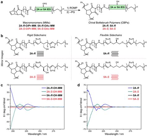 Bottlebrush Polymers With Flexible Enantiomeric Side Chains Display Differential Biological