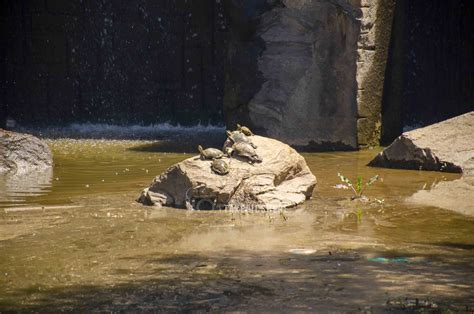 Historic Fourth Ward Park Take Pics Here