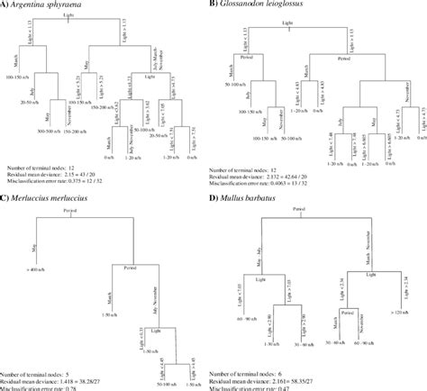 Classification Tree Model For A Sphyraena A G Leioglossus B M Download Scientific